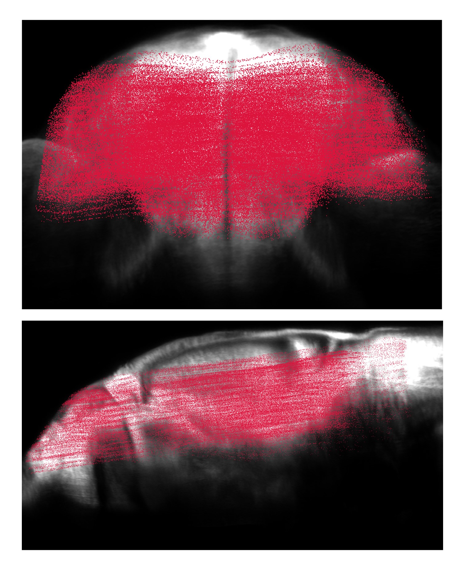 Research – Semmelhack Lab